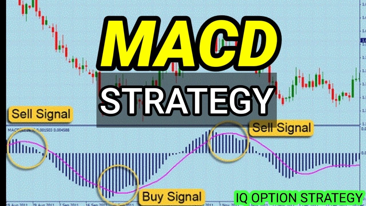 Most Effective MACD Strategy (High Winrate Strategy) | Best IQ Option ...