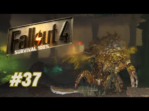 Massachusetts State House / Fallout 4 Survival 100% - YouTube