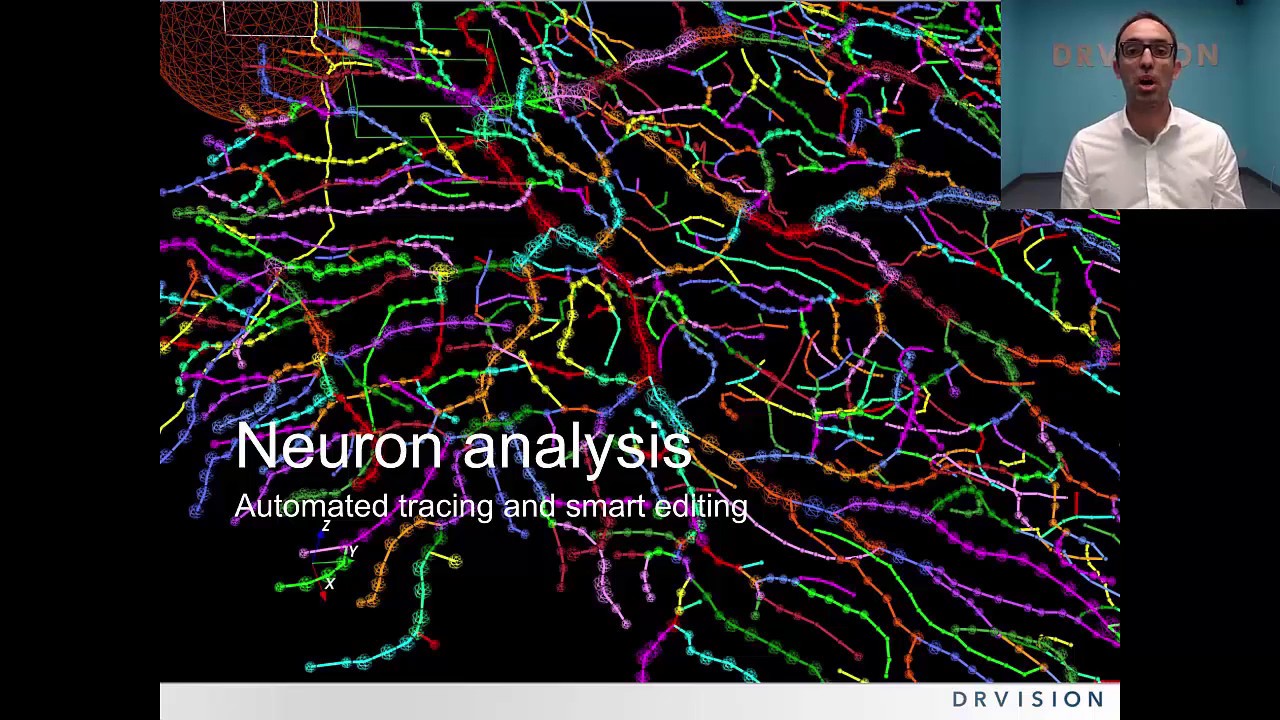Aivia 5 - [Launch webinar highlight] Neuron Analysis - YouTube