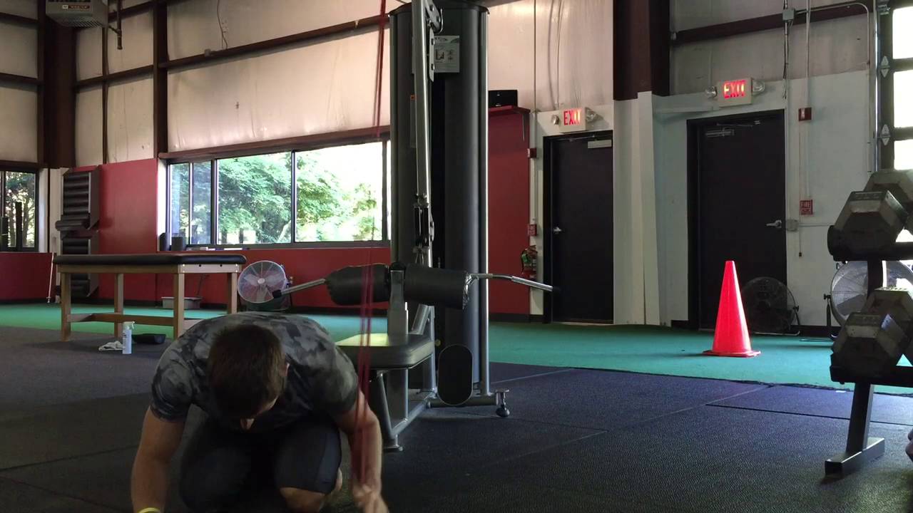 Quadruped Assisted Reach, Roll, n Lift - YouTube