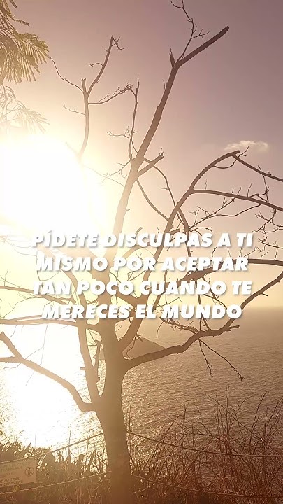 Pídete disculpas a ti mismo por aceptar tan poco cuando te mereces el ... Pídete disculpas a ti mismo por aceptar tan poco cuando te mereces el ...