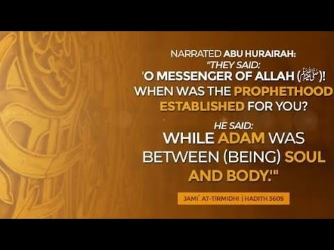 Beautiful Motivational Quotes 244 - YouTube