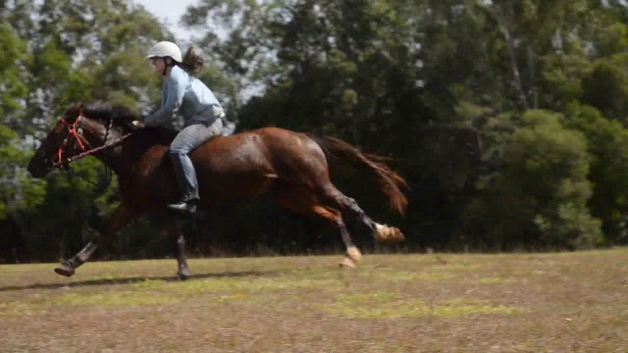 Galloping Bareback!!! - YouTube