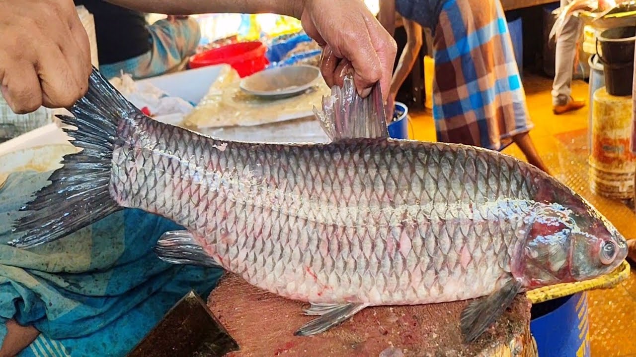 Amazing Big Grass Carp Fish Cutting By Expart Fish Cutter | Fish ...