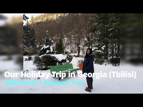 Our Holiday Trip in Tbilisi, Georgia (Bakuriani/Borjomi Tour)
