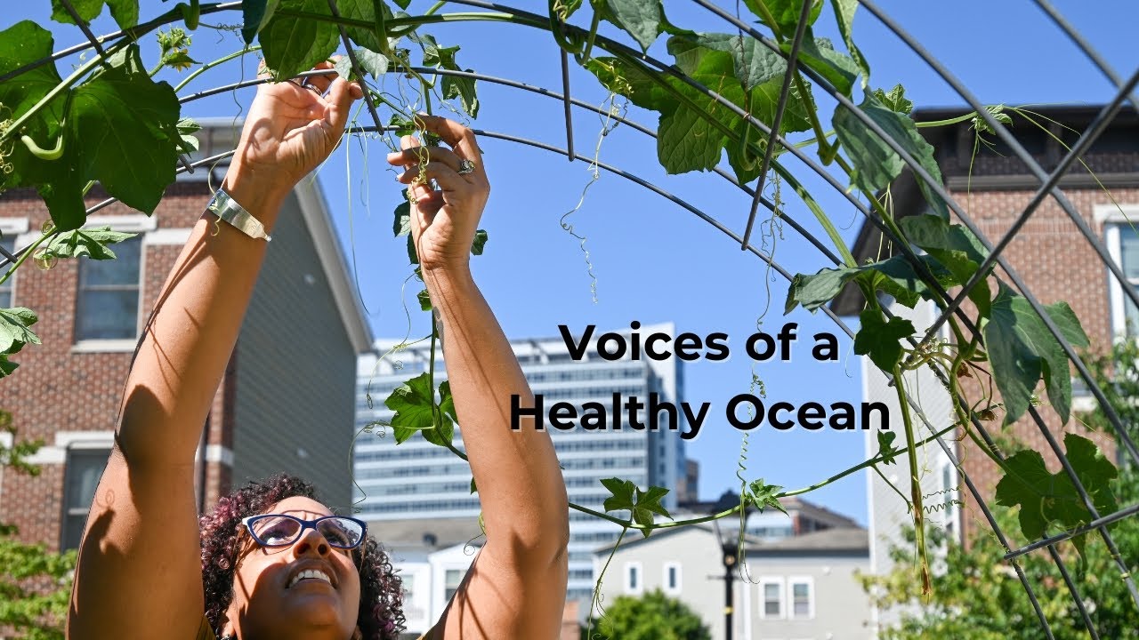 Voices of a Healthy Ocean - Amber Doherty - YouTube
