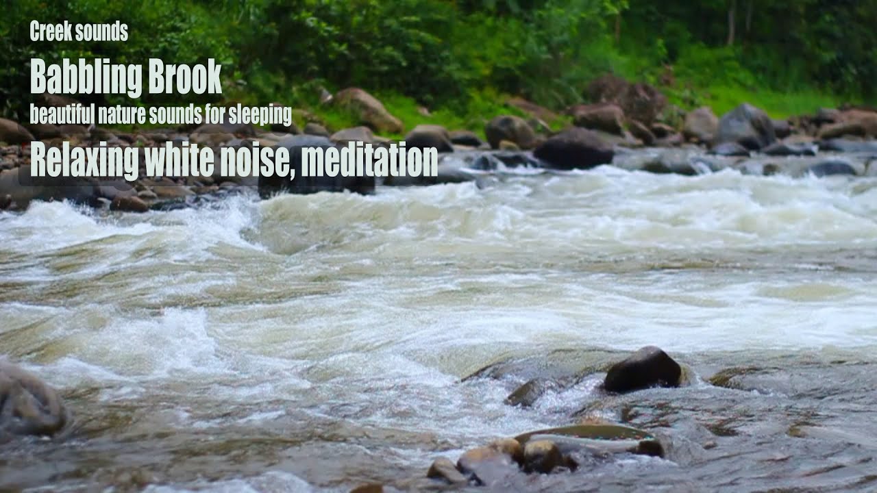 Relaxation sounds, babbling brook, beautiful nature sounds for sleeping ...