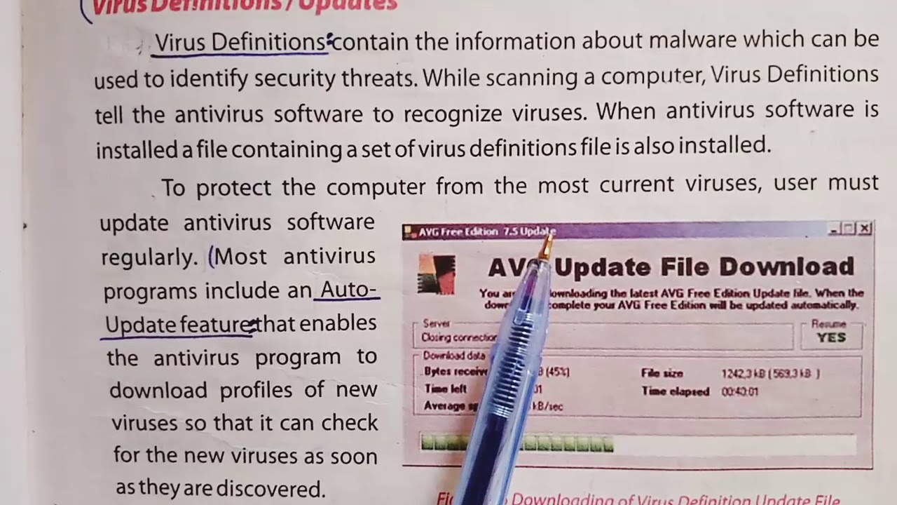 8 Computer Virus Definitions/Updates - YouTube