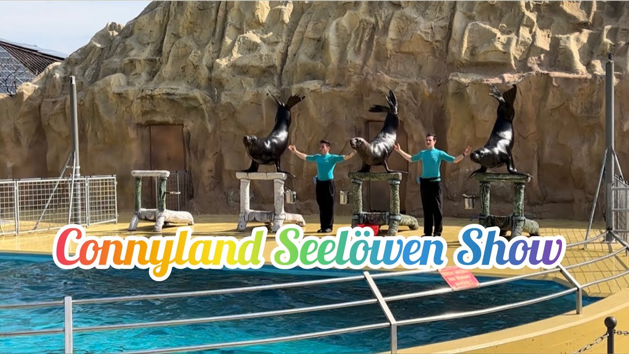 Connyland Seelöwen Show/ See Lion Show - YouTube