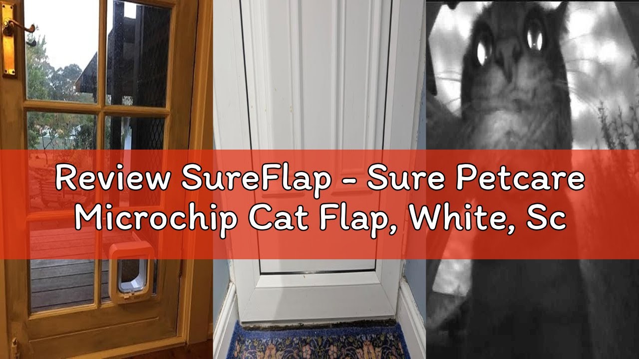 Review SureFlap - Sure Petcare Microchip Cat Flap, White, Scans Pet's ...