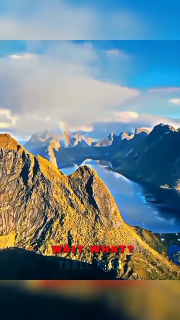 Premium View....! 💀 | TROLL KING |#trollface #trollf #shortsfeed #trol ...