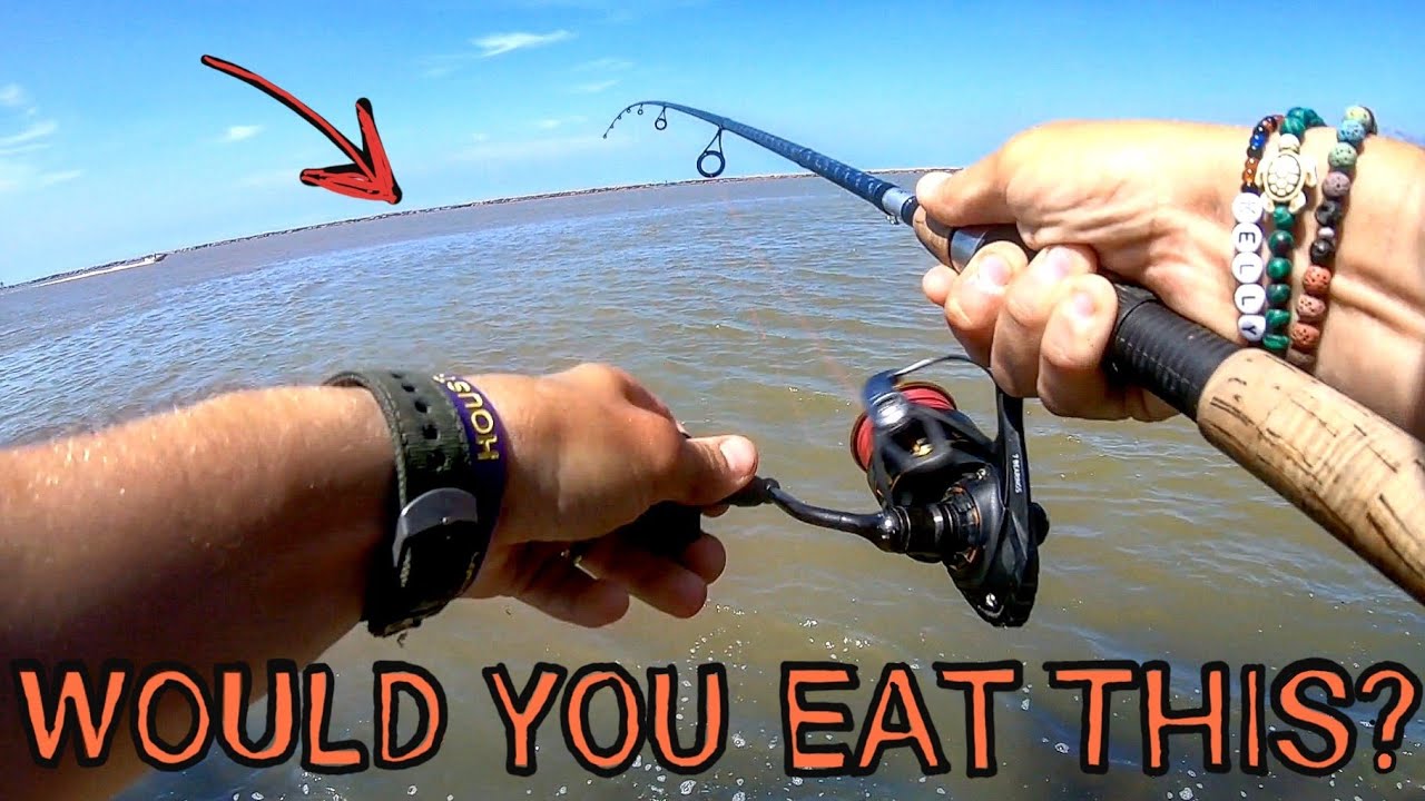 These Fish Look Bizarre! ...So I Ate Them! - YouTube