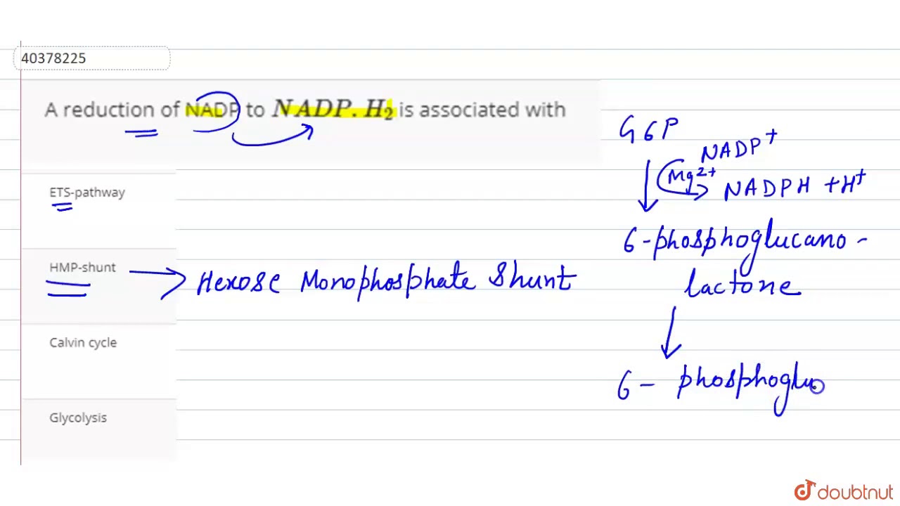A reduction of NADP to `NADP.H_(2)` is associated with - YouTube