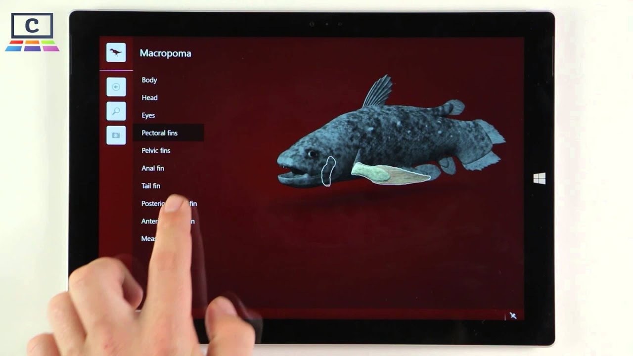 Macropoma : Paleontology - YouTube