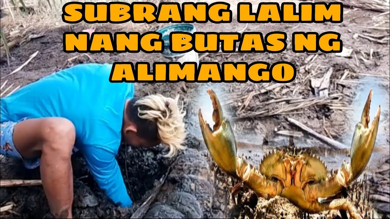 PAG HUHUKAY NG ALIMANGO SA ILOG #bucanavlogger #japersniper - YouTube