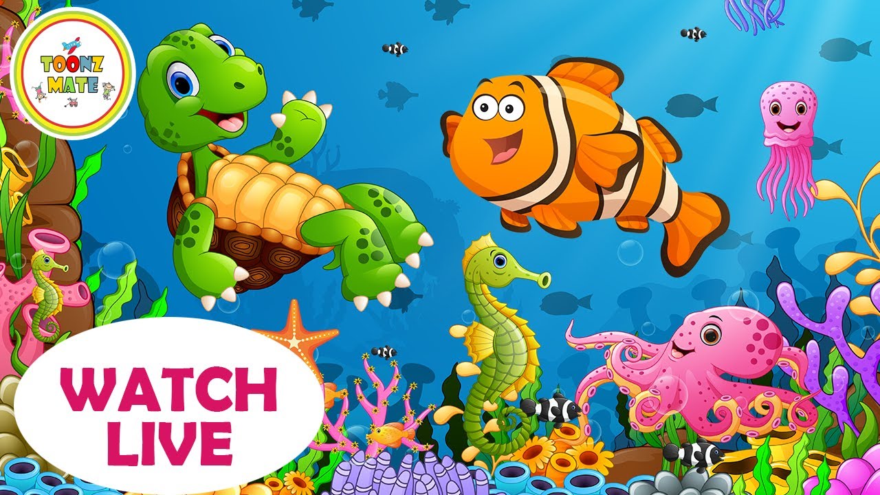 Educational Videos For Kids By Toonz Mate - Live - YouTube