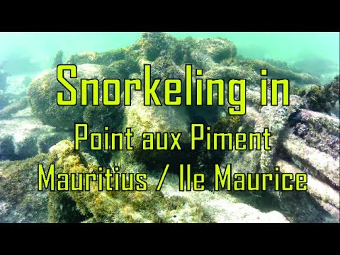 Snorkeling in Point aux Piment Mauritius / Ile Maurice - YouTube