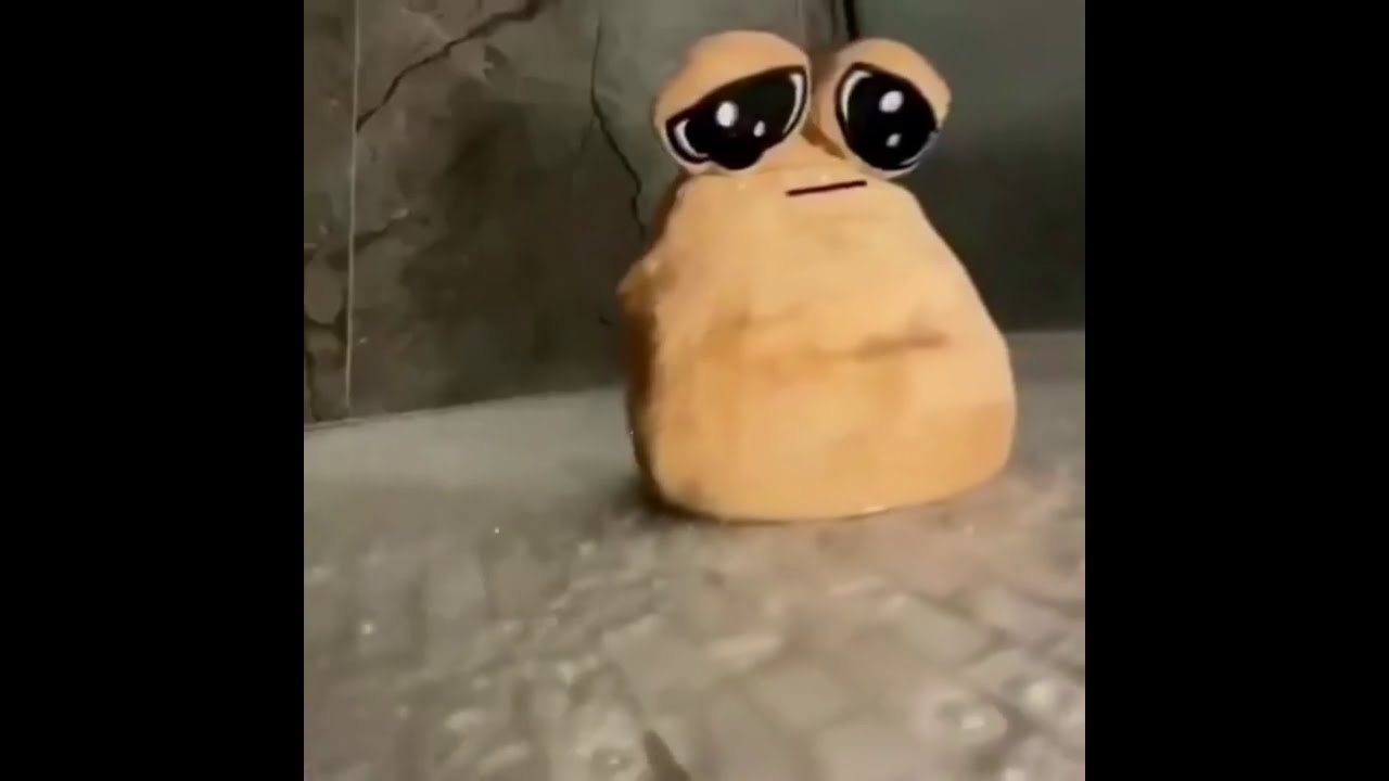 30 Select Gifs With Music - YouTube