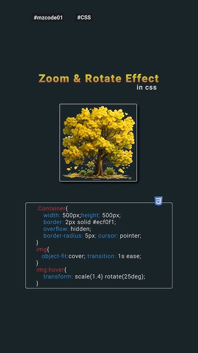 Learn Zoom and Rotate Effect in One Short #css #coding #shorts #webdesign - YouTube