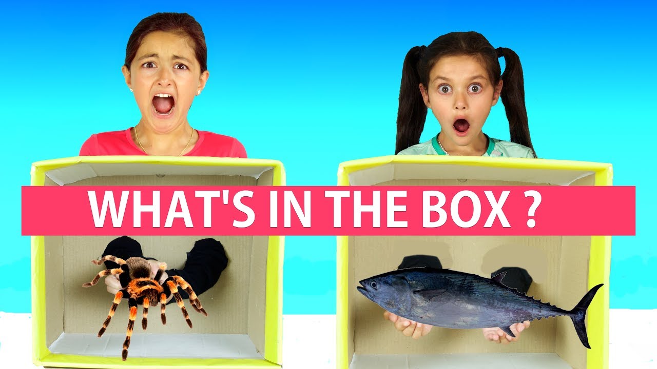 What's in the Box Challenge! Family Fun Challenge!! 😜😂 - YouTube