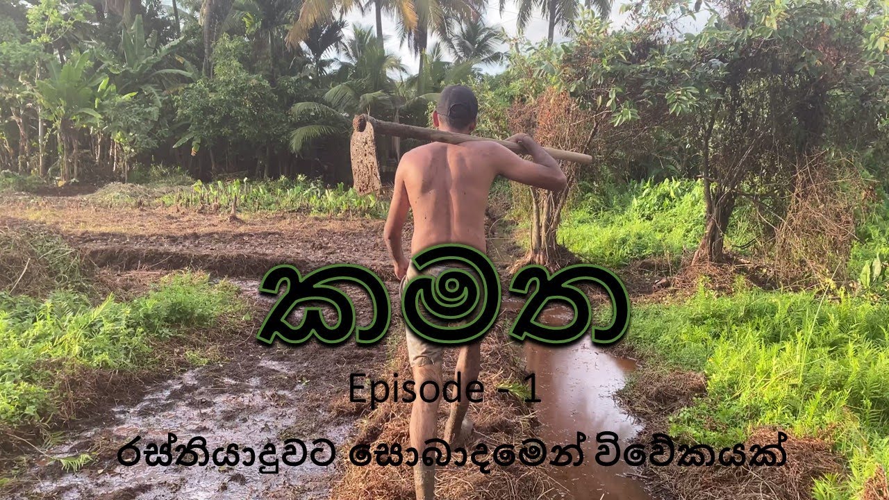 Puran Kuburu Aswaddamu (පුරන් කුඹුරු අස්වද්දමු) කමත - Episode 01 - YouTube