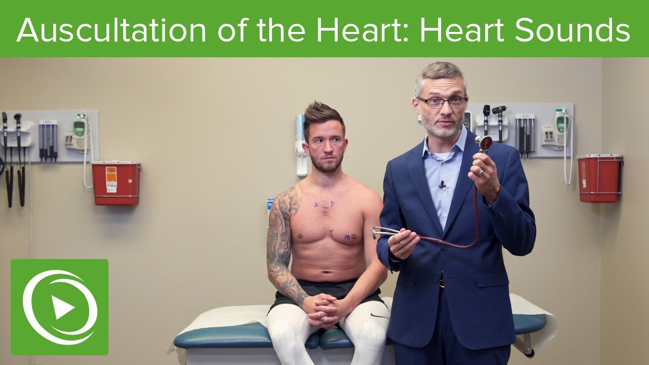How to Master the Cardiovascular Exam 🩺 | Physical Examination - YouTube