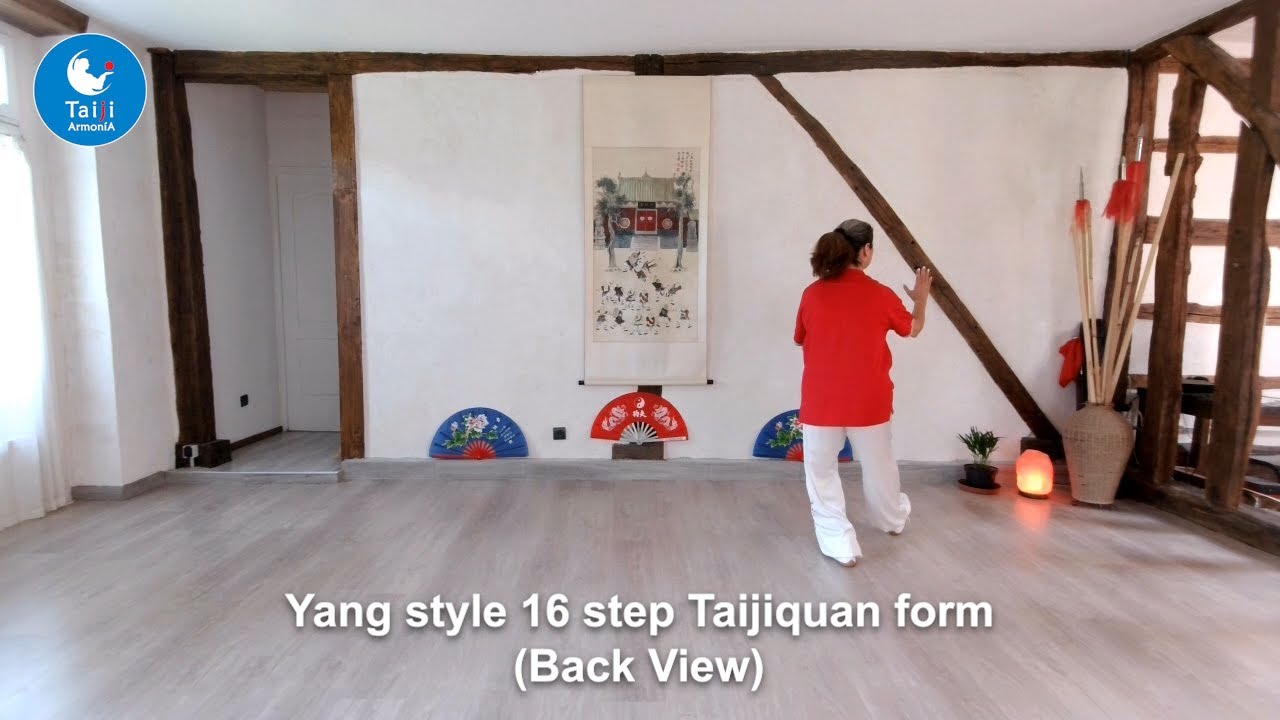 Yang style Tai Chi 16 form BACK VIEW by Patrizia with move names in EN ...