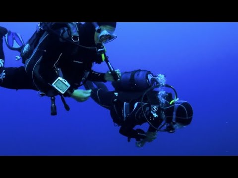 Les paliers de décompression - YouTube