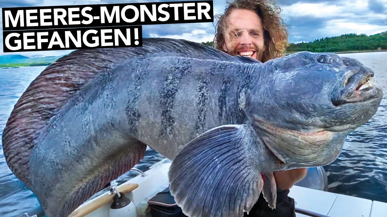 URZEIT-MONSTER aus dem MEER gefangen! 💥 Mein TRAUMFISCH! - YouTube