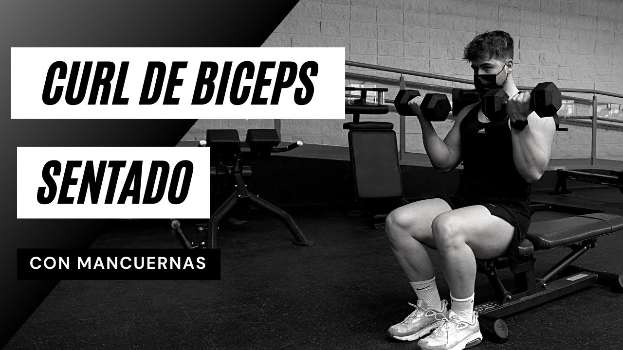 Curl de Bíceps con Mancuernas Sentado - IVOPHYSICAL - YouTube