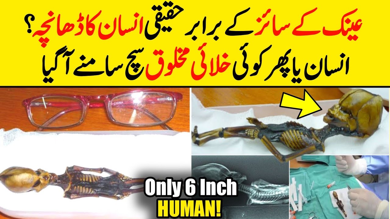 Scientists Uncover Tragic Story Behind 6-Inch Atacama Alien Mummy ...