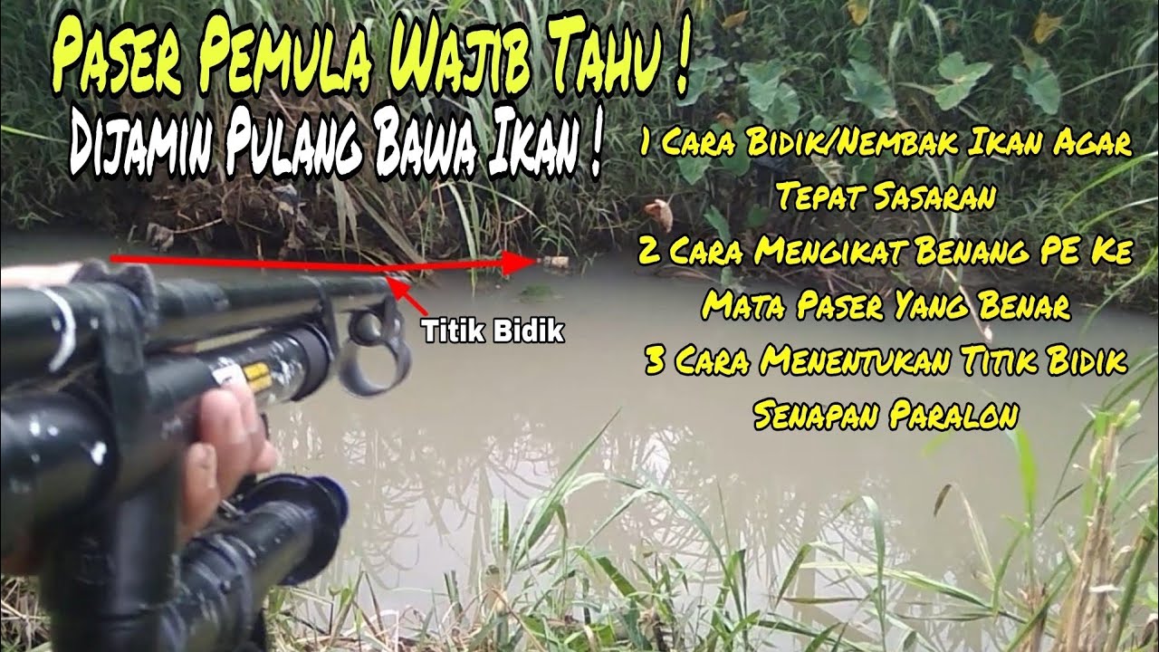 Cara Nembak / Bidik Ikan Pakai Senapan Paser Ikan Paralon Agar Tepat ...