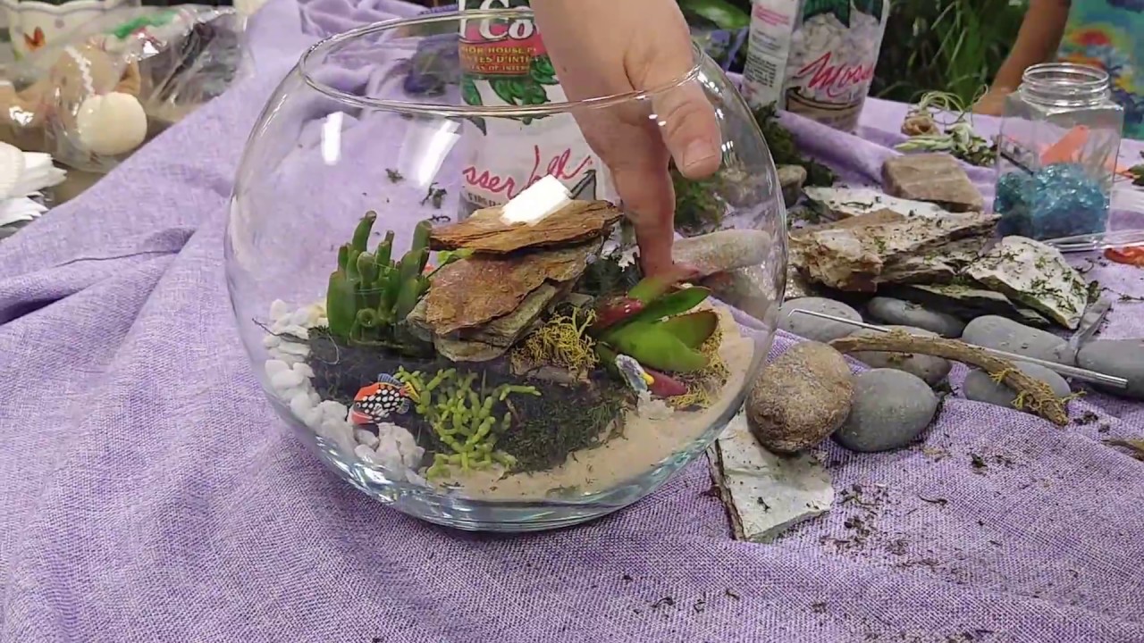 How to Create an "Under the Sea" Themed Terrarium! - YouTube