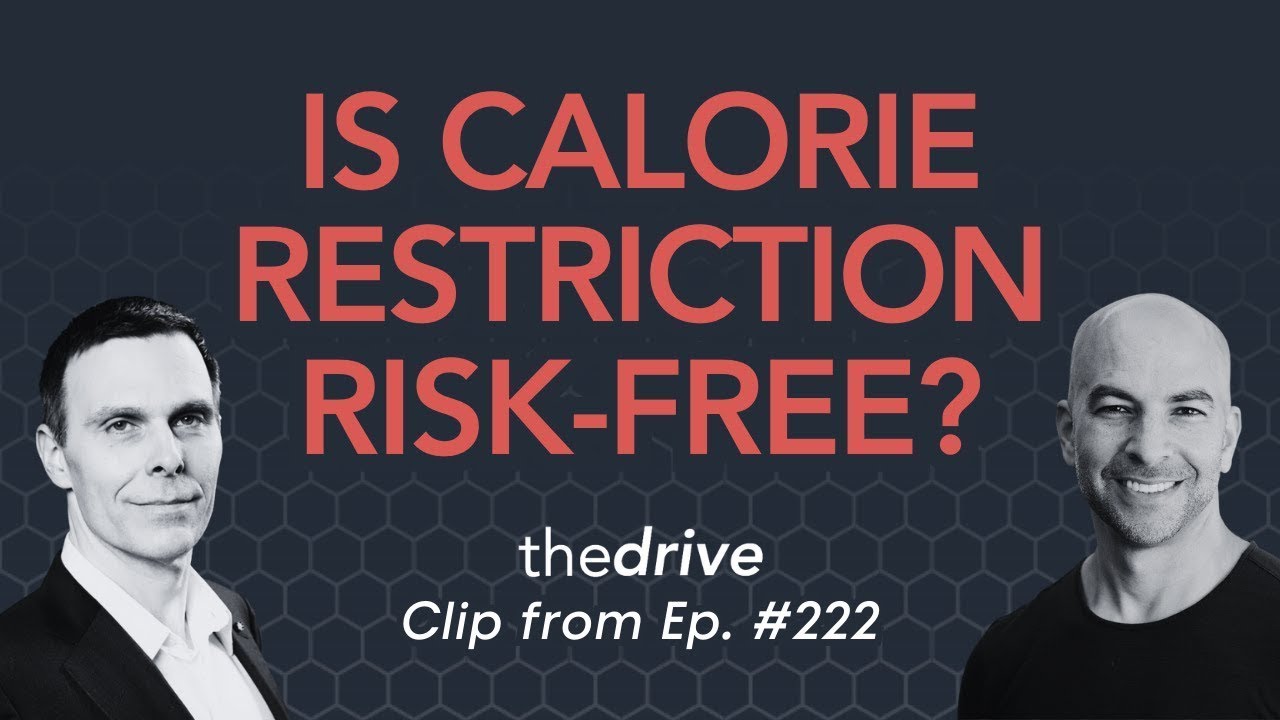 Calorie restriction's impact on the immune system, strength, and muscle ...