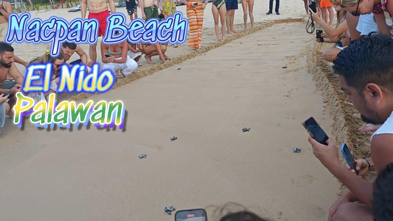 QUICK TOUR | PAWIKAN RELEASE | NACPAN BEACH | EL NIDO PALAWAN - YouTube