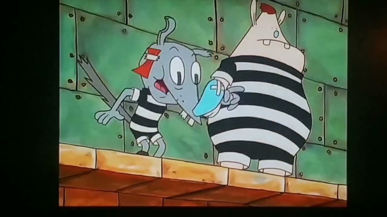 Rancid Rabbit gets Stuck in the Pool - YouTube