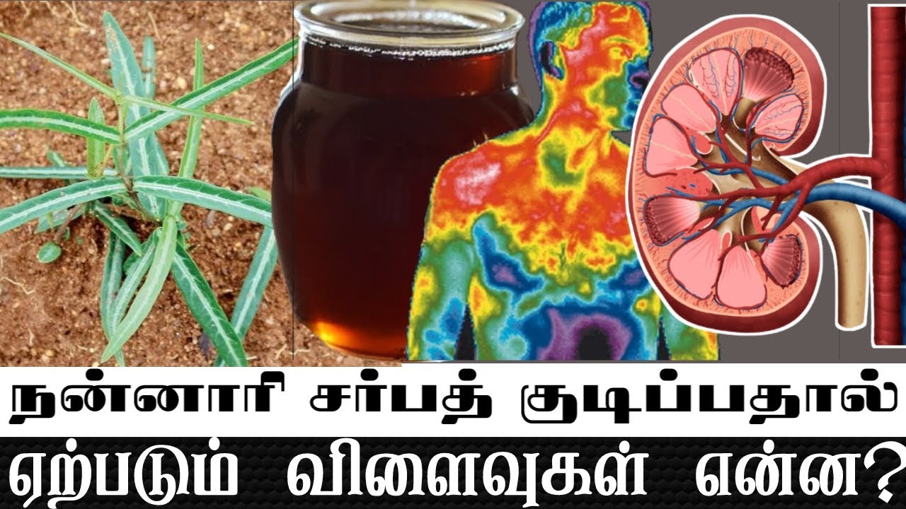 நன்னாரி சர்பத் பயன்கள் | Health benefits of Nannari Sarbath in Tamil ...