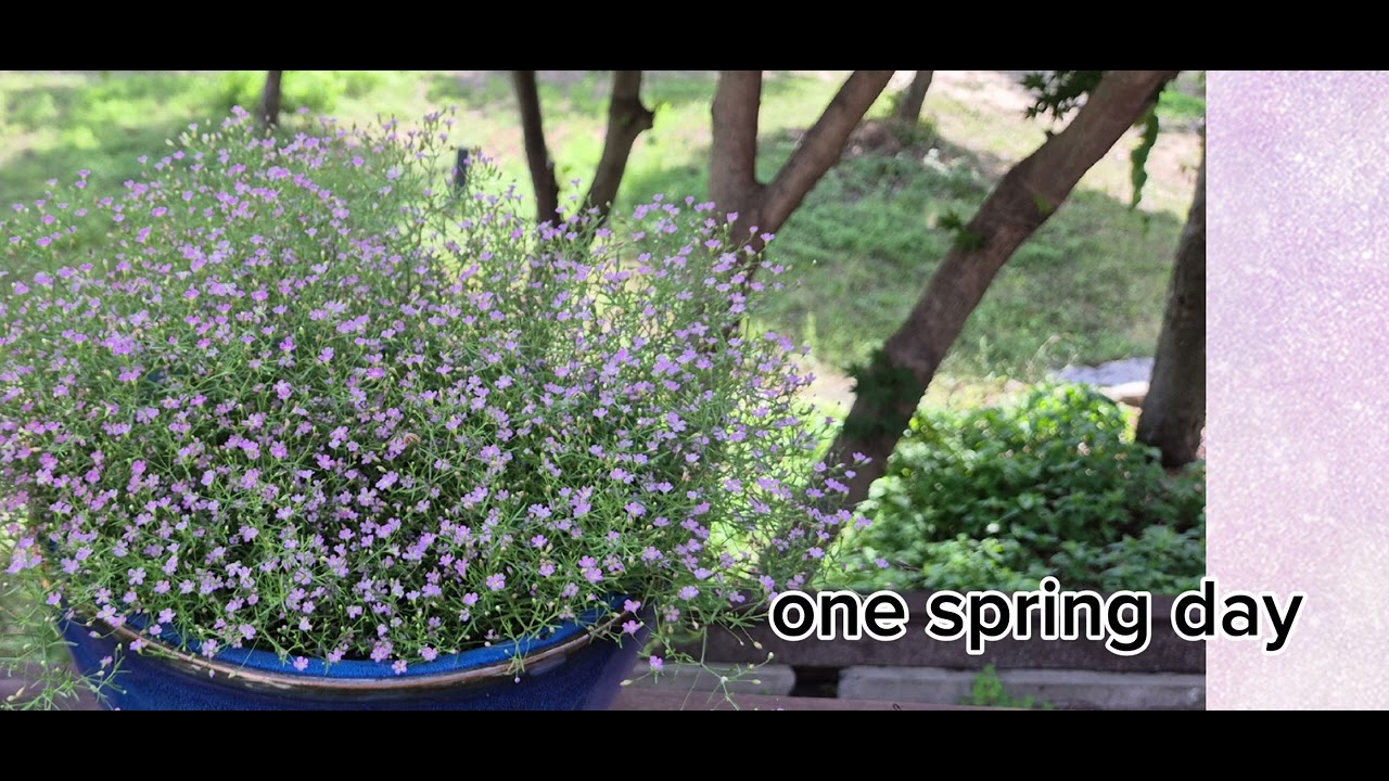 어느 봄 날 .... one Spring day 마음이 편안한 하루를 위해~♡ - YouTube