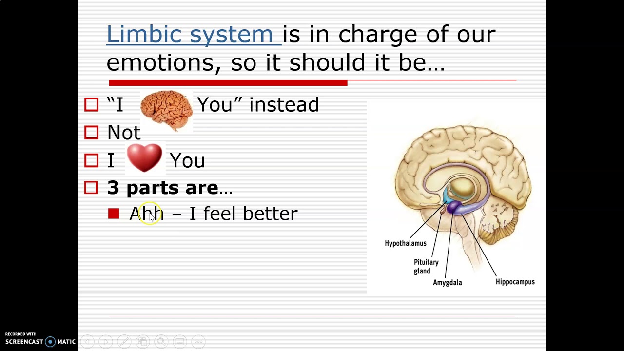 Brian parts - part 2 - YouTube