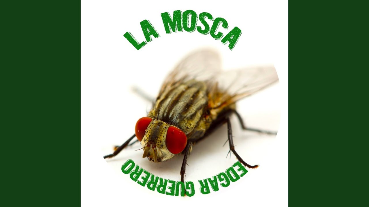 La Mosca - YouTube