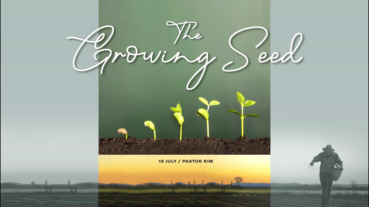 The Growing Seed: Sunday Online Service Worship 19.07.20 - YouTube