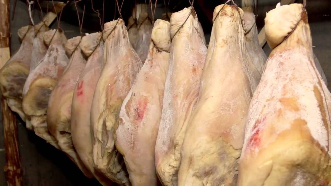 Salt Preservation - Microorganisms and Food - YouTube