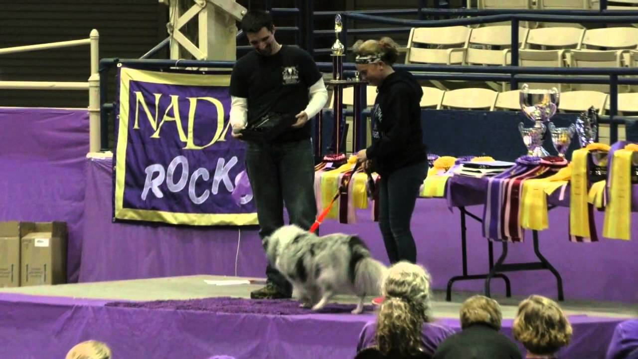 2015 NADAC Championships Awards - YouTube