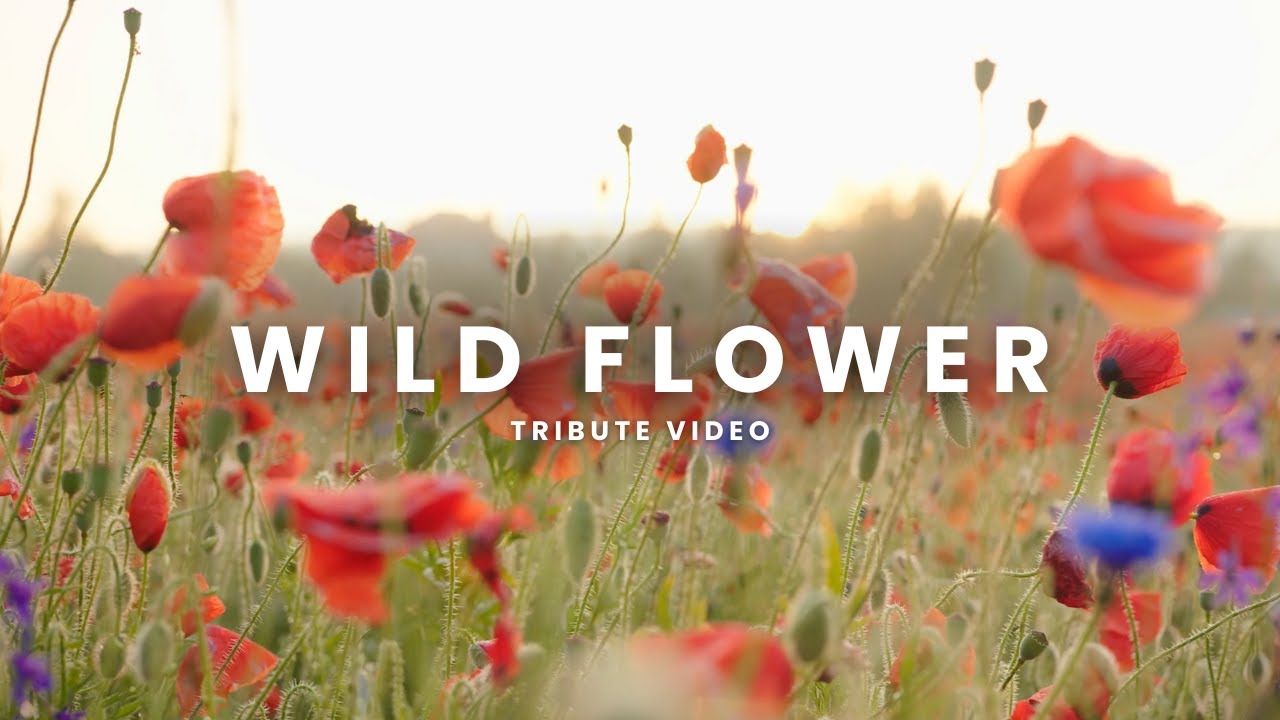 Personalized Memorial Tribute Video| Funeral Video with Licensed Music ...