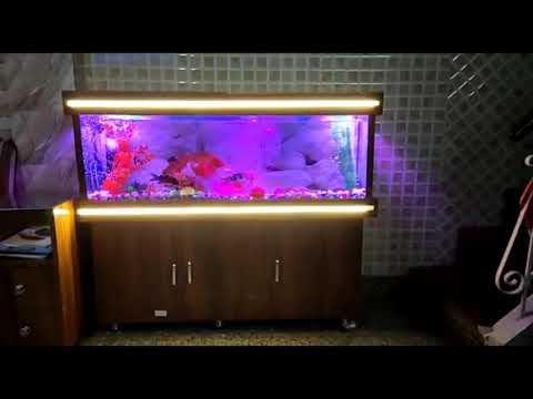 4ft aquarium setup | 4ft Fish Tank | 4ft Aquarium with Cabinet | - YouTube