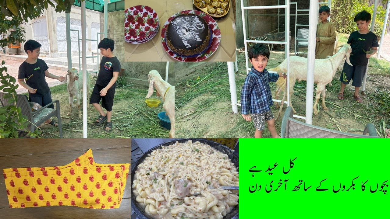 bakra eid special | trousers cutting and stitching | cooking pasta ...