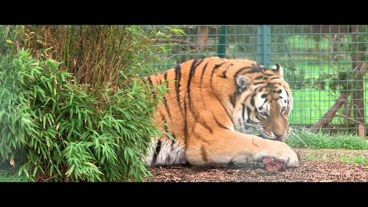 A Day with Jonny Meah - YouTube