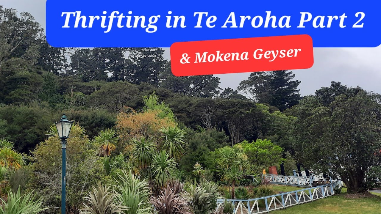 Mokena Geyser and shopalong in Te Aroha New Zealand 🇳🇿 - YouTube