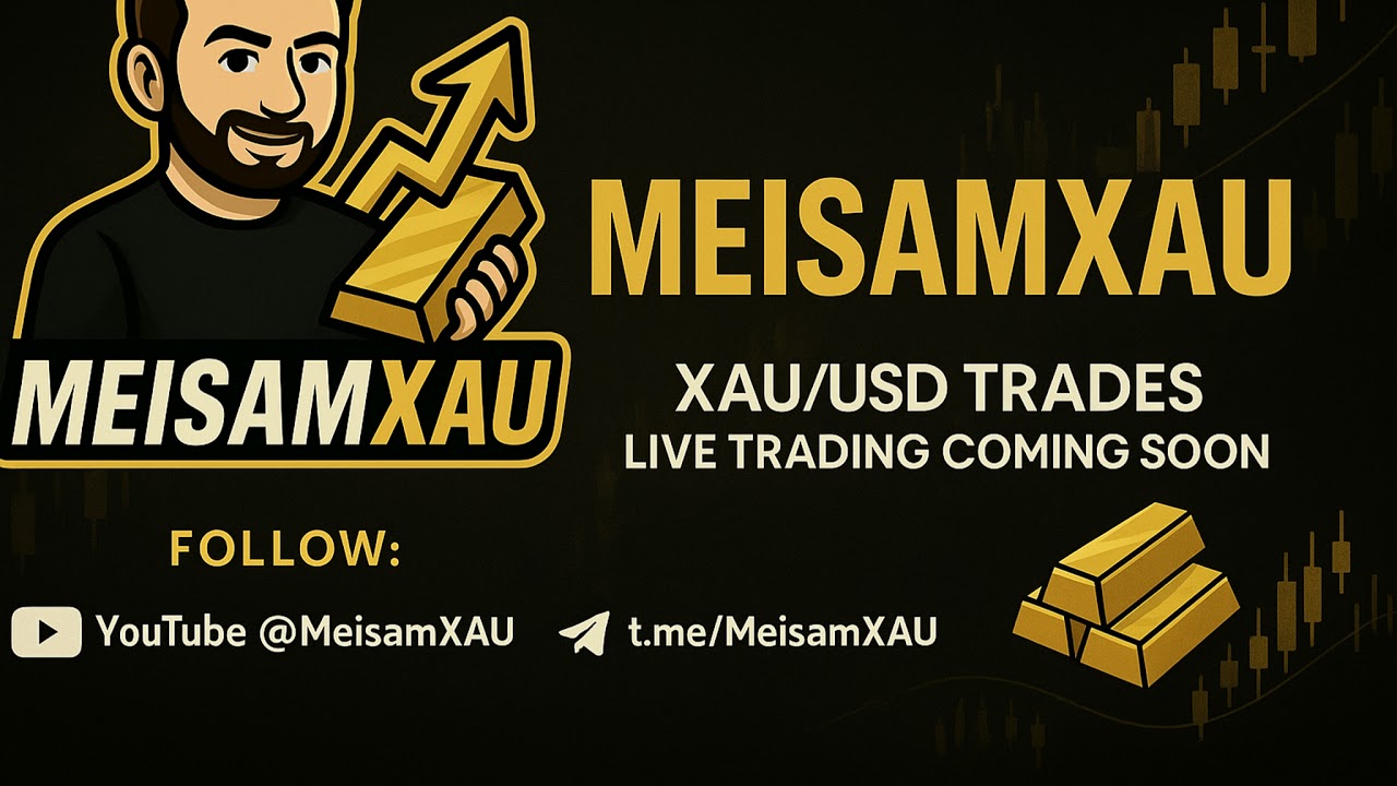 Meisam Live Stream - YouTube