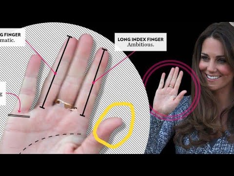 How to read your Palm Lines | Palmistry - YouTube